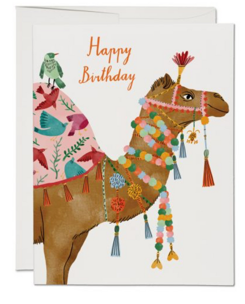 Camel Card – Plumfield